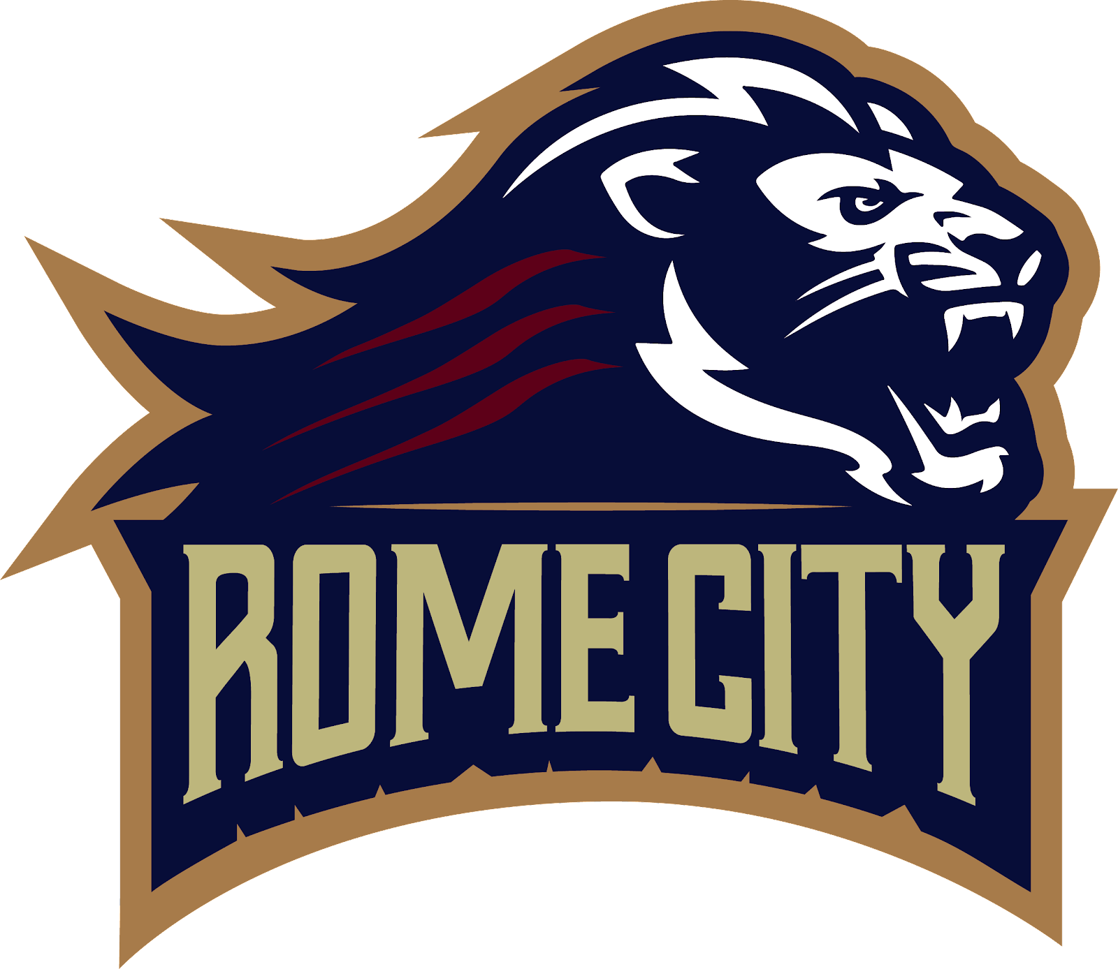 New Student-Athlete Opportunity: Next Level U Sports and Rome City ...