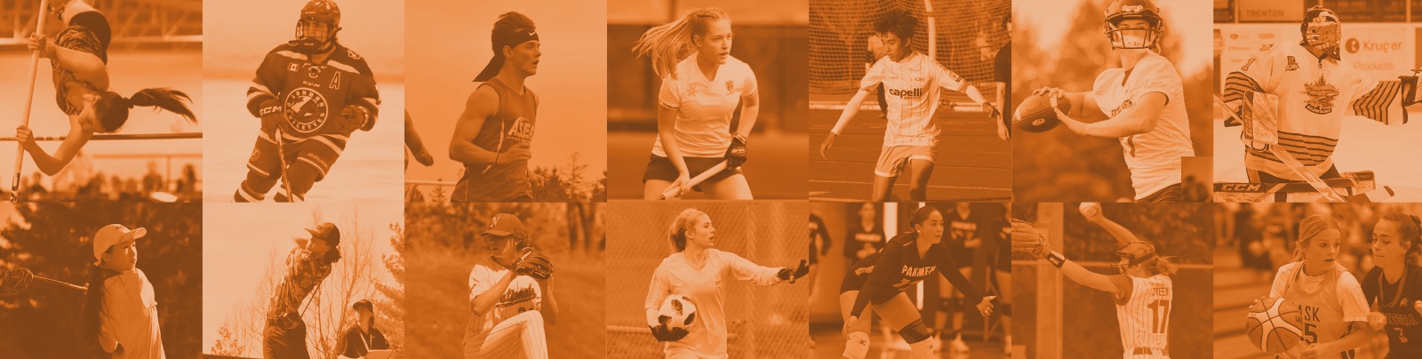 Our Services | Indivdual & Team Athletic Recuriting Support | NLU Sports