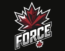 NORTHERN FORCE FASTPITCH - Next Level U Sports