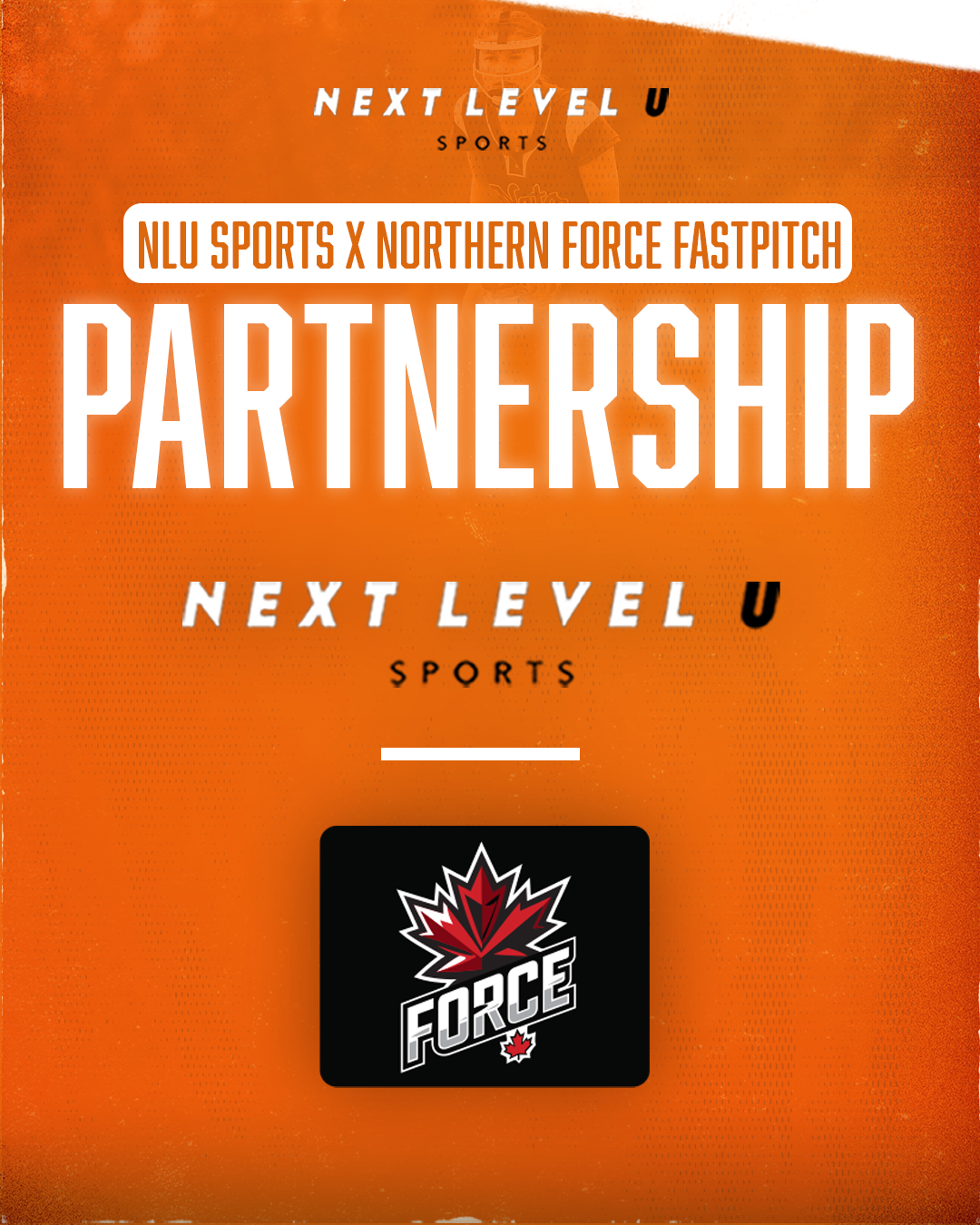 Next Level U Sports Partners with Northern Force Fastpitch to Power ...